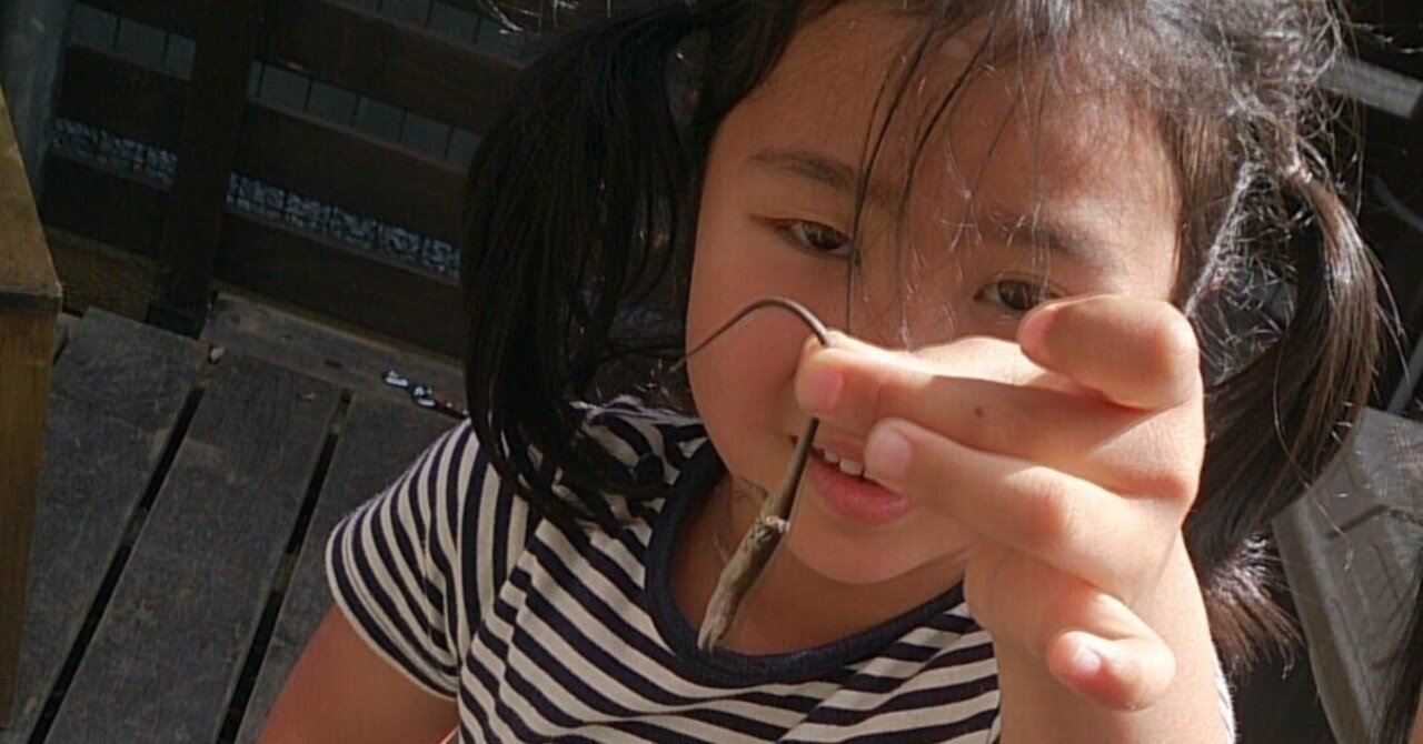 自問自答｜akari.m｜note