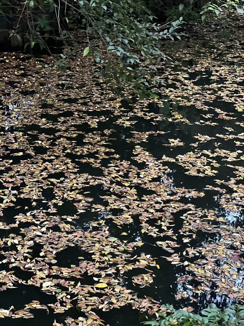 将軍家の襖絵展の日｜hajimari___