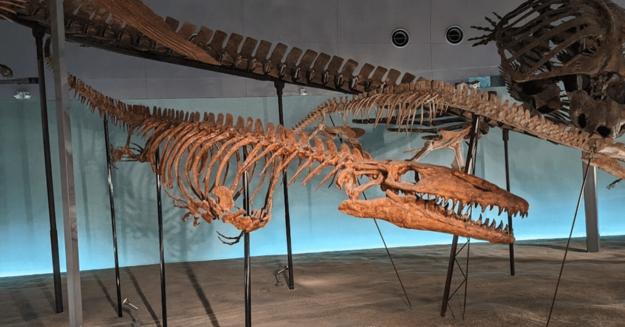 モサとDM｜pirokichi｜note