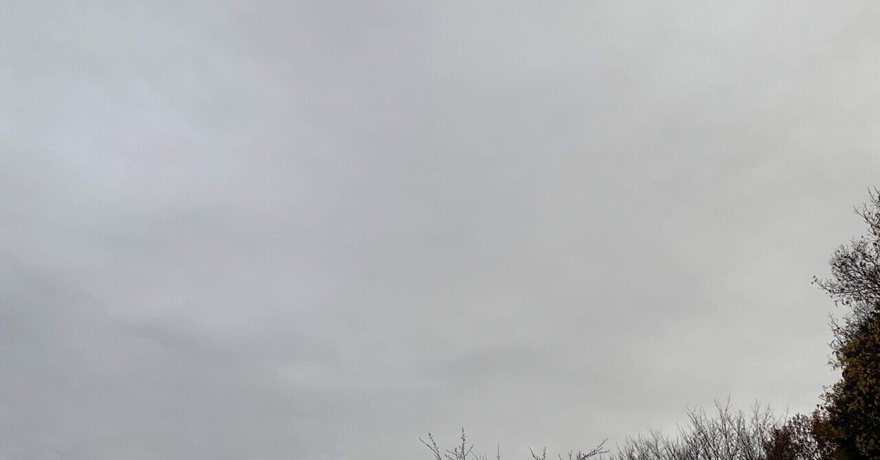 雨はいつでも嫌なのです｜ros_inu｜note