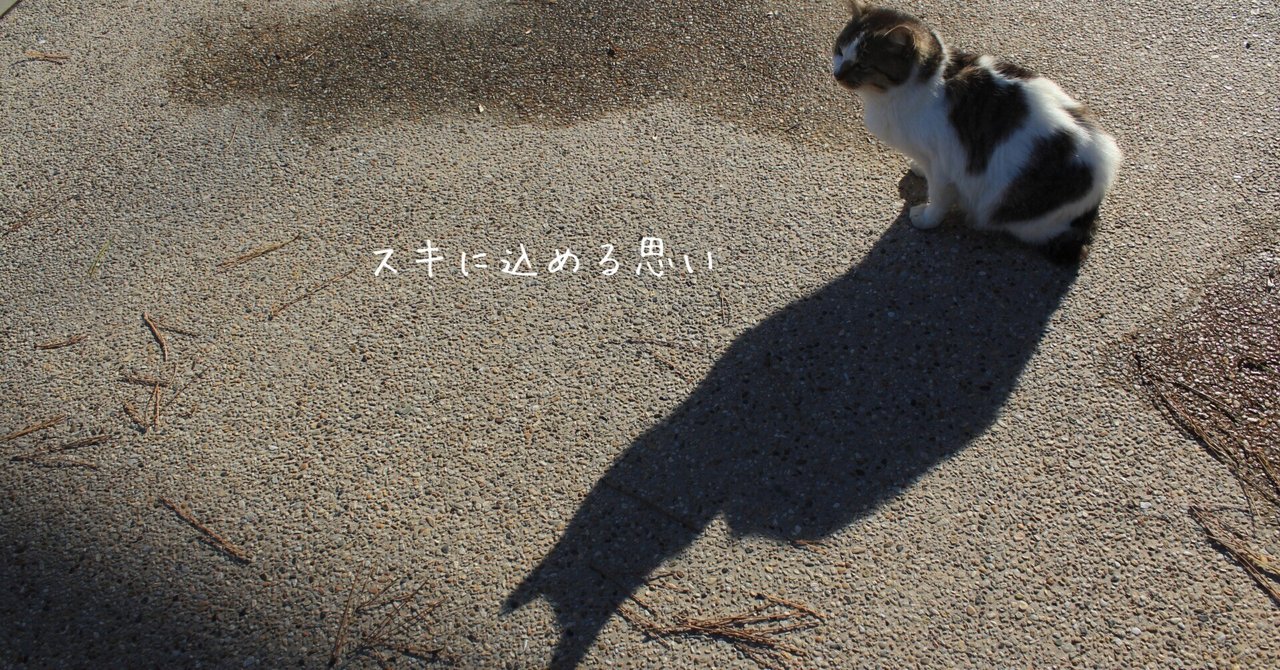 スキに込める思い｜Sawa～建築士のあたまの中