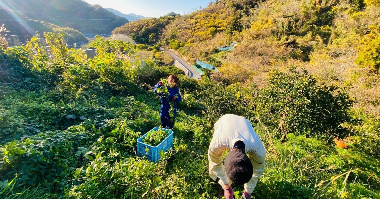 ハタチ年代の挑戦者が夢見る「農レボリューション」【RING HIROSHIMA】｜ひろしまサンドボックス【公式】