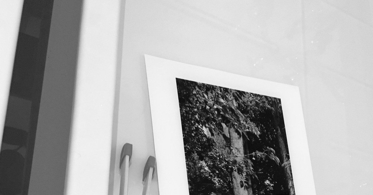 Another｜Junko Sakamoto