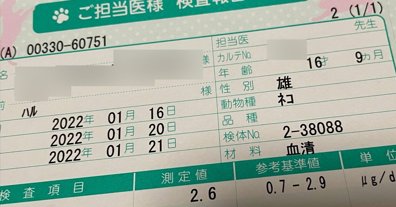 またもや「1」と「6」（もしくは「6」と「16」）｜saya_tk｜note