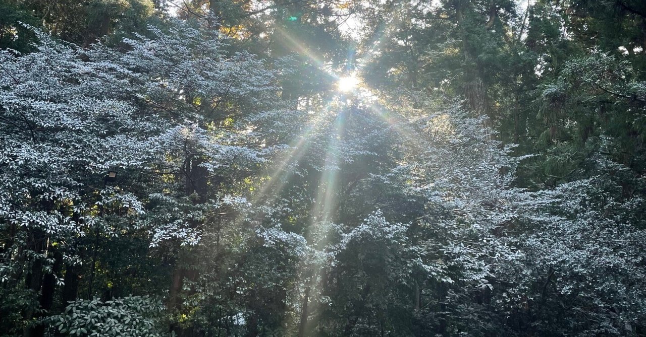 めいそう日記〜Day434：雨の日も風の日も、雪の日も。｜千速 典（ちはやふみ）〜瞑想と伊勢での日々を綴る場所