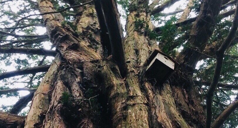 Embrace Your Home.｜Miki Hattori｜note