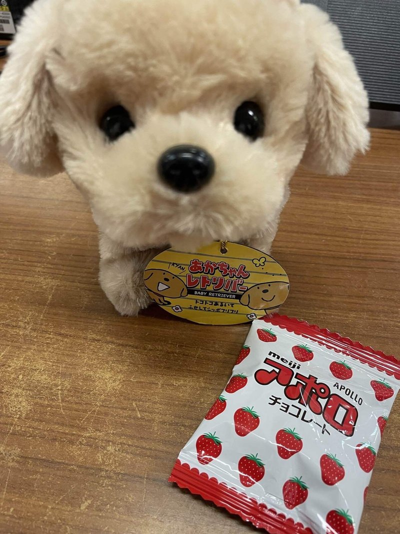 「美麗」｜風木 愁 -Syu Kazaki-｜note