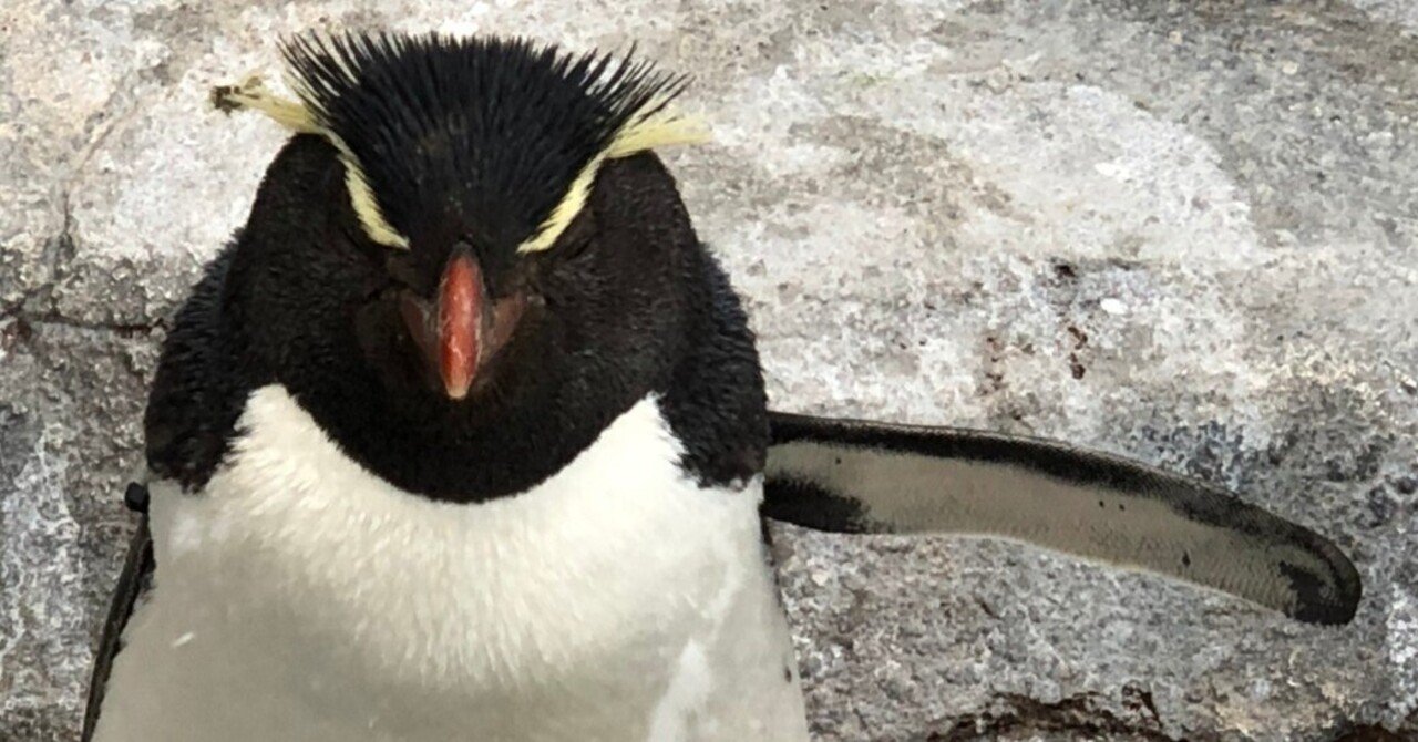 瞬間未来日記2022124｜Kazuhiro Ikeda｜note