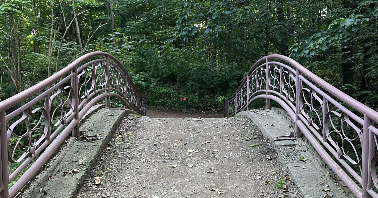 HSPと2022年の振り返り｜hsp&｜note