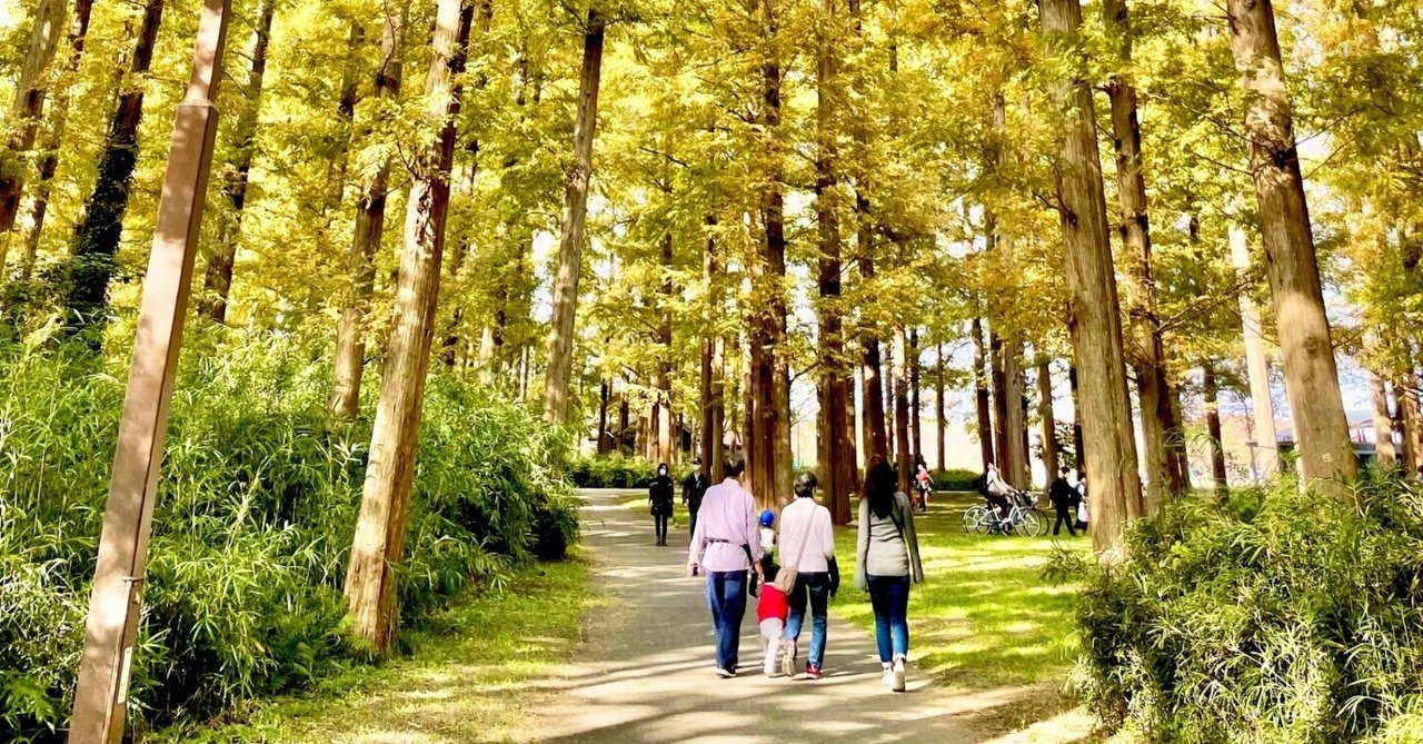 写真から滲み出るもの｜chef ichi｜note