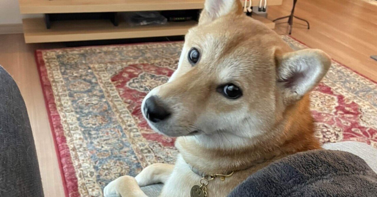 2022年の振り返り。｜723nk｜note