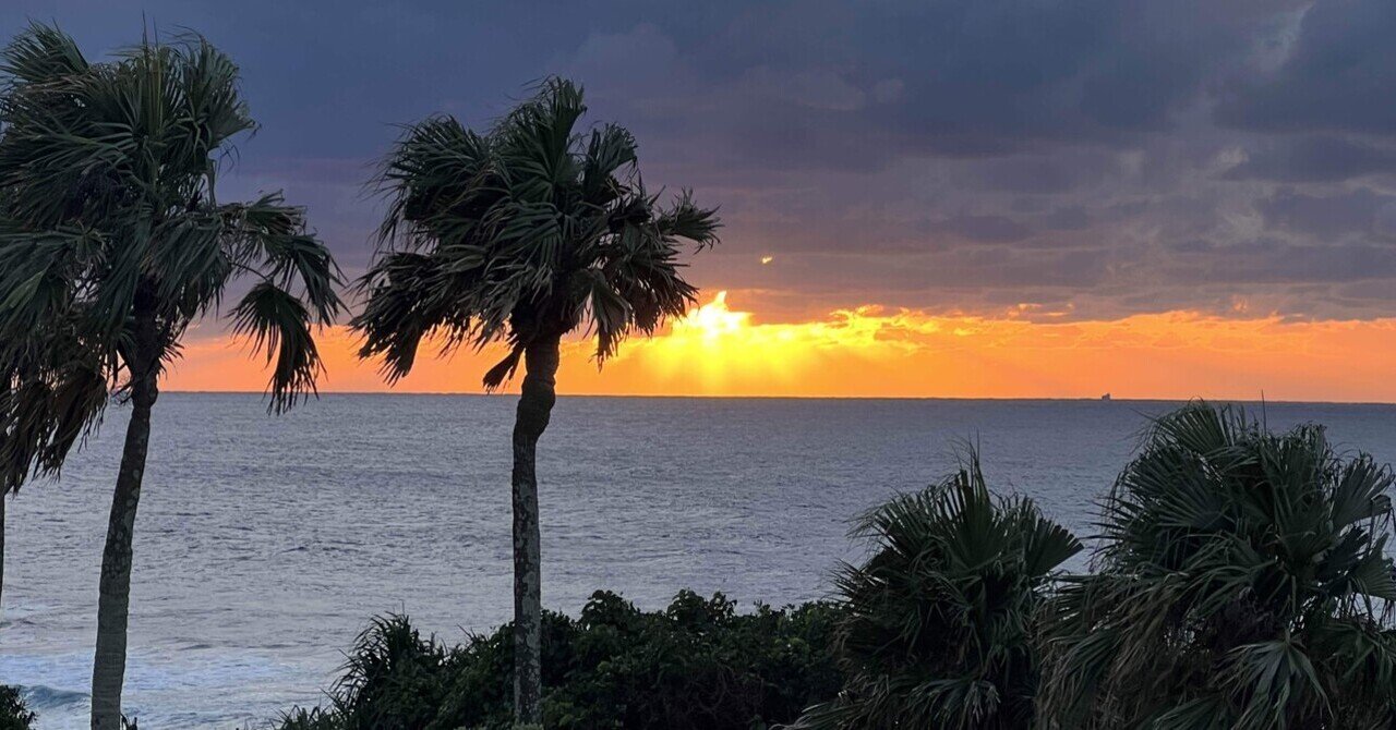 自己紹介｜misuzu｜note