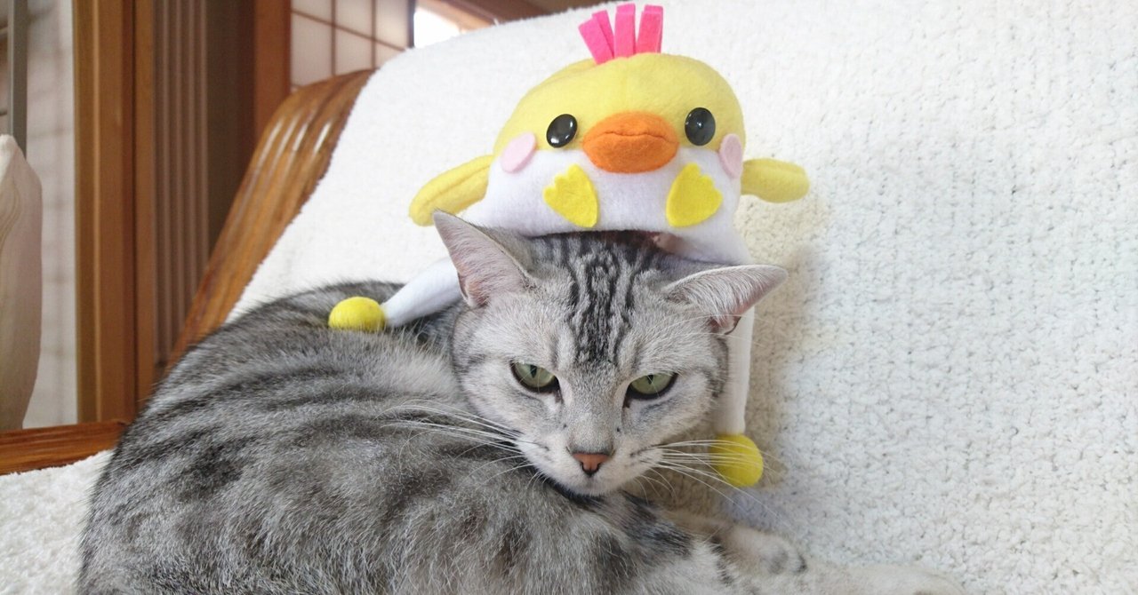 奇跡講座WB実践174 復習157、158｜(Linp&Ruru)本当の自分を知り、本当の自分として生きる｜note