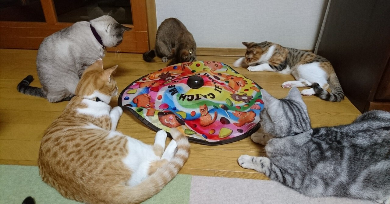 奇跡講座WB実践175 復習159、160｜(Linp&Ruru)本当の自分を知り、本当の自分として生きる｜note