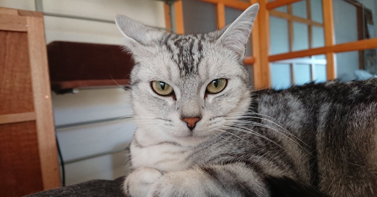 奇跡講座WB実践176 復習161、162｜(Linp&Ruru)本当の自分を知り、本当の自分として生きる｜note