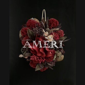 AMERIの商品一覧｜note