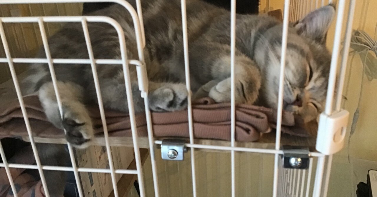 私の推しキャラ｜Sarah(NS)｜note