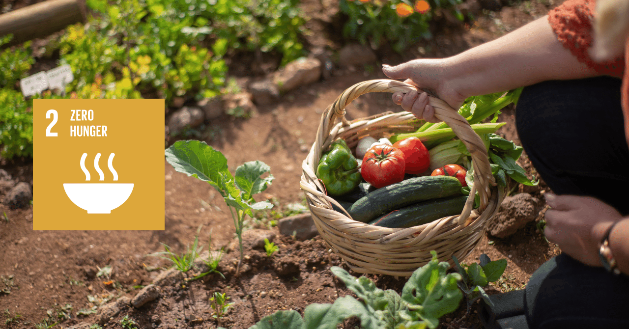 家族農業と地産地消｜miku | SDGsであなたの未来を考えるキャリコン