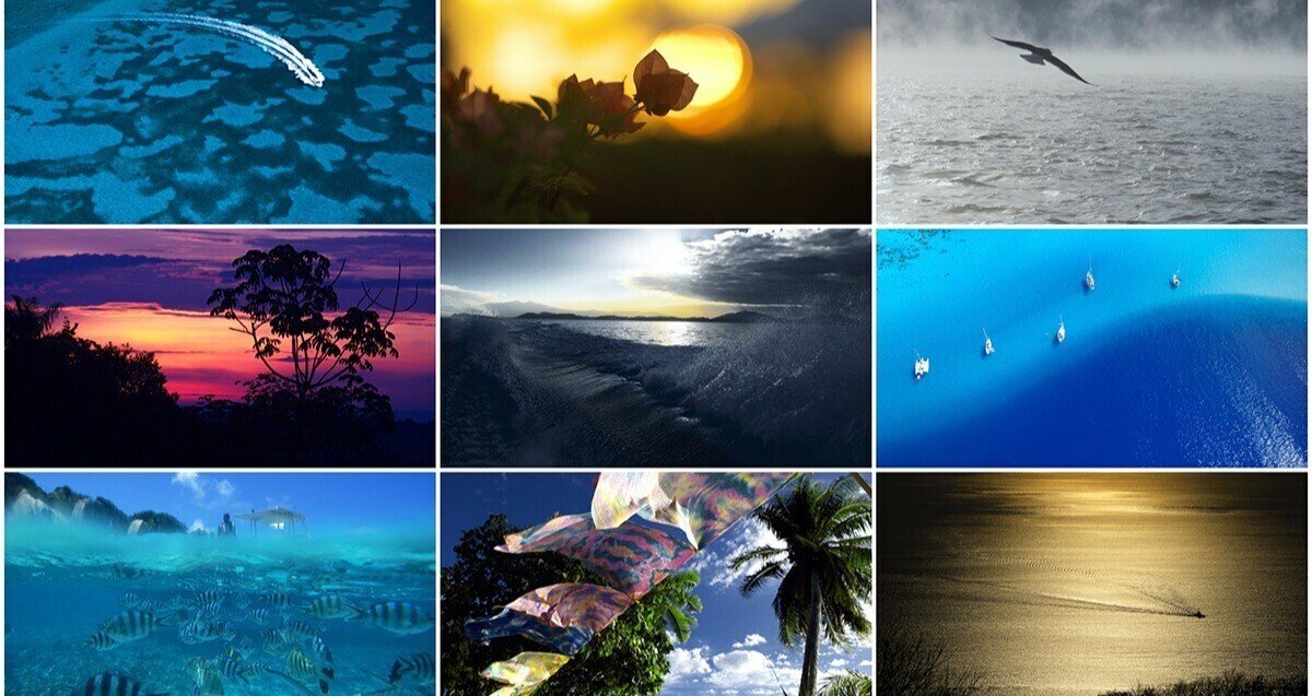 Salt 'N Light- TAKI｜note