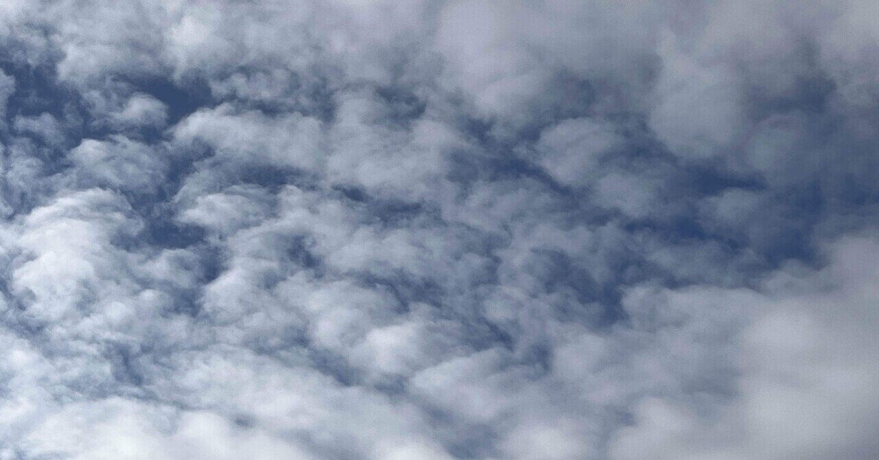 今年最後のお弁当｜Jimmy Olive｜note