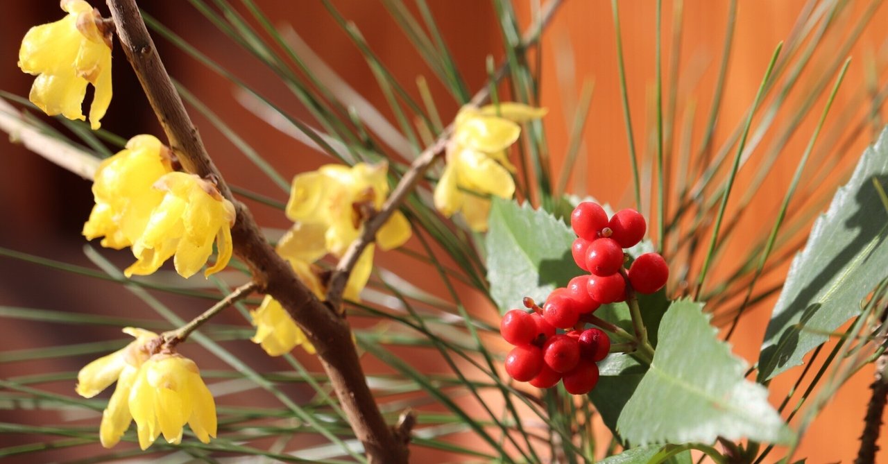 お寿司屋さんへ行った理由｜Sosyu Kikuchi｜note