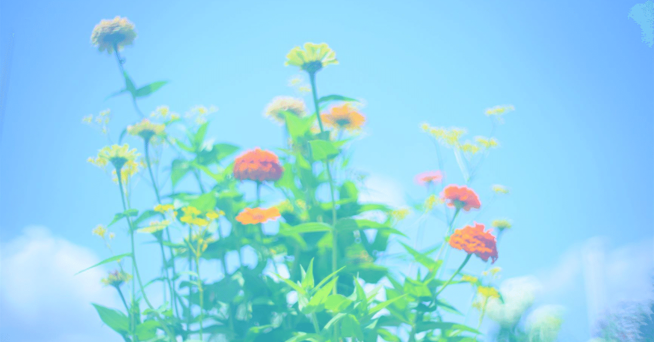 同じ温度感でいることは大切/167日目｜baka_yuki｜note