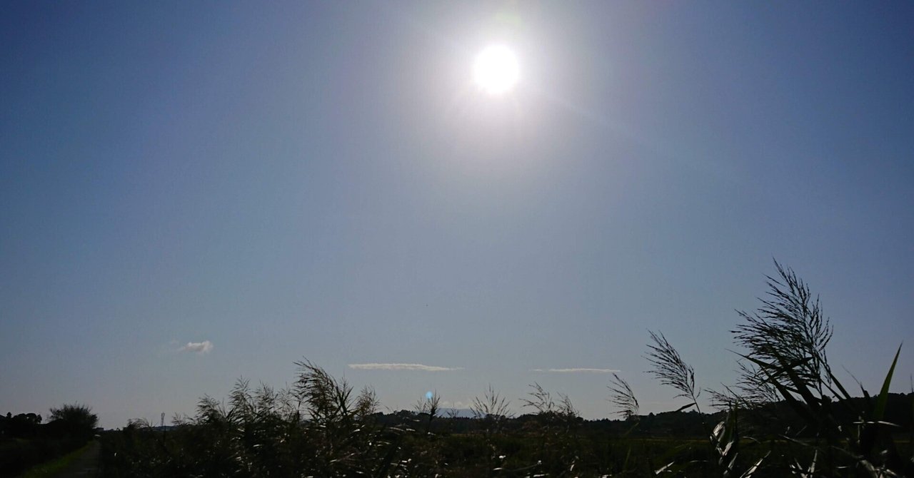 奇跡講座WB実践178 復習165、166｜(Linp&Ruru)本当の自分を知り、本当の自分として生きる