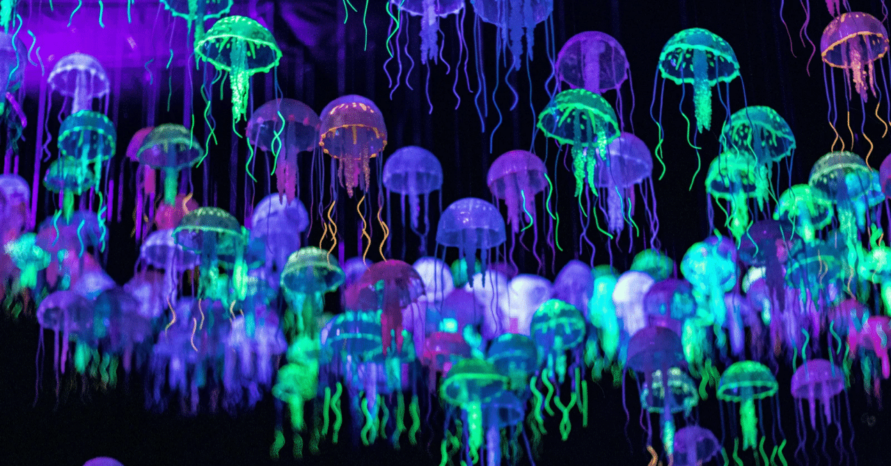 飯塚8R 23:28 🔥🔥｜競艇 競輪｜note