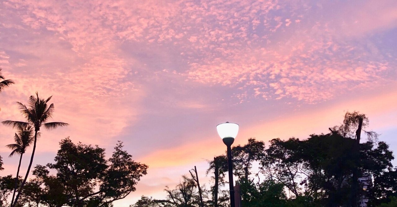 2022年の12月に思うこと。｜Kazu｜note