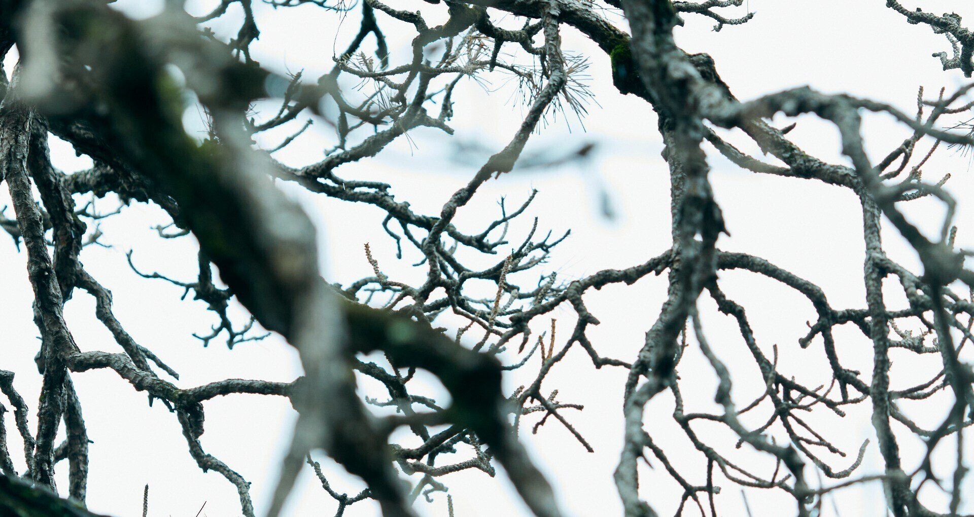 佐伯 圭介 | Keisuke Saeki｜note