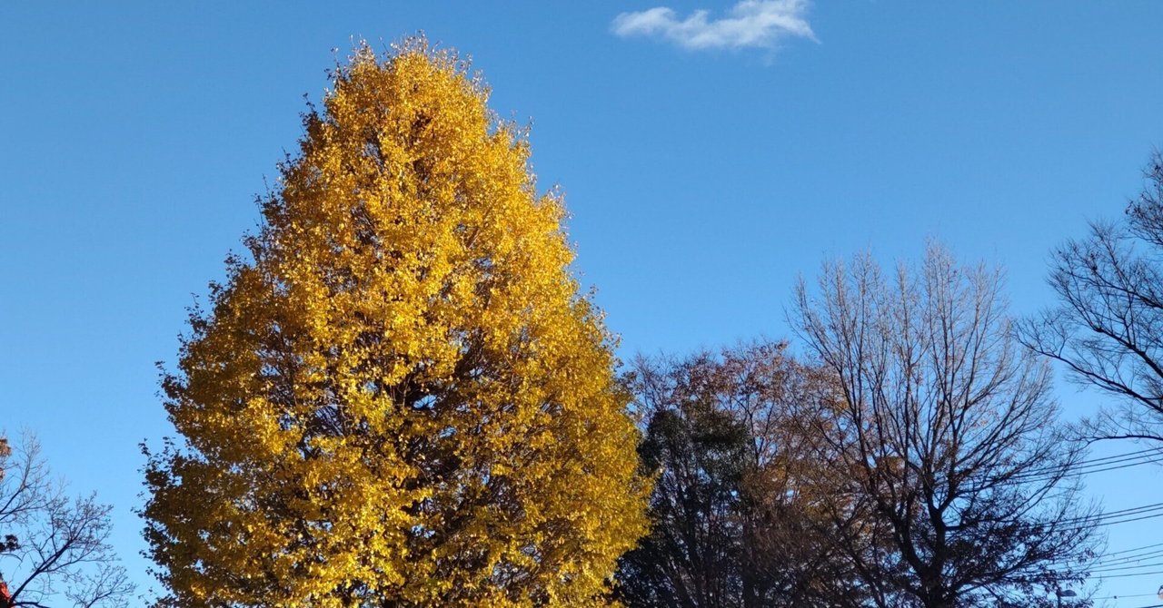 やりたいことができないときもある｜yumi.ko