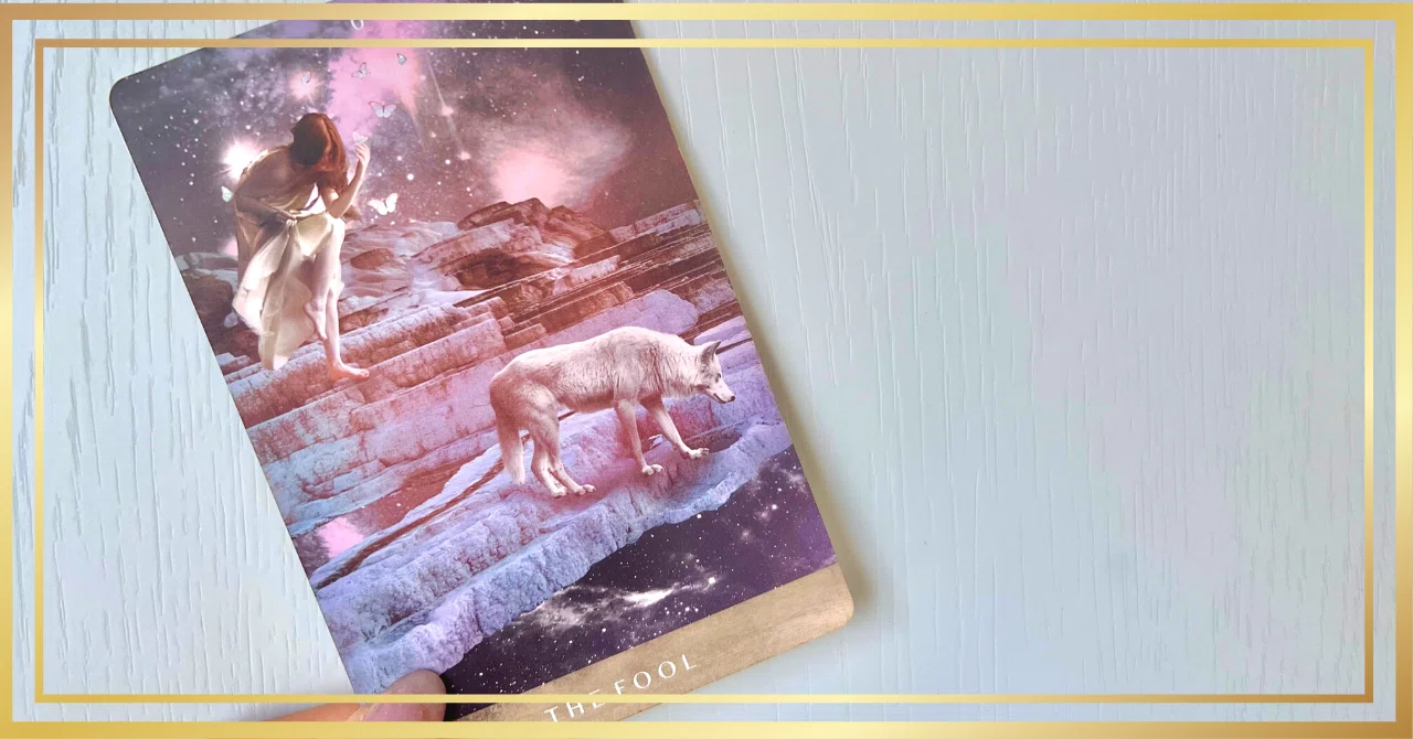 タロット【0】愚者-gusya-｜☾ Luna Card☽꙳｜note