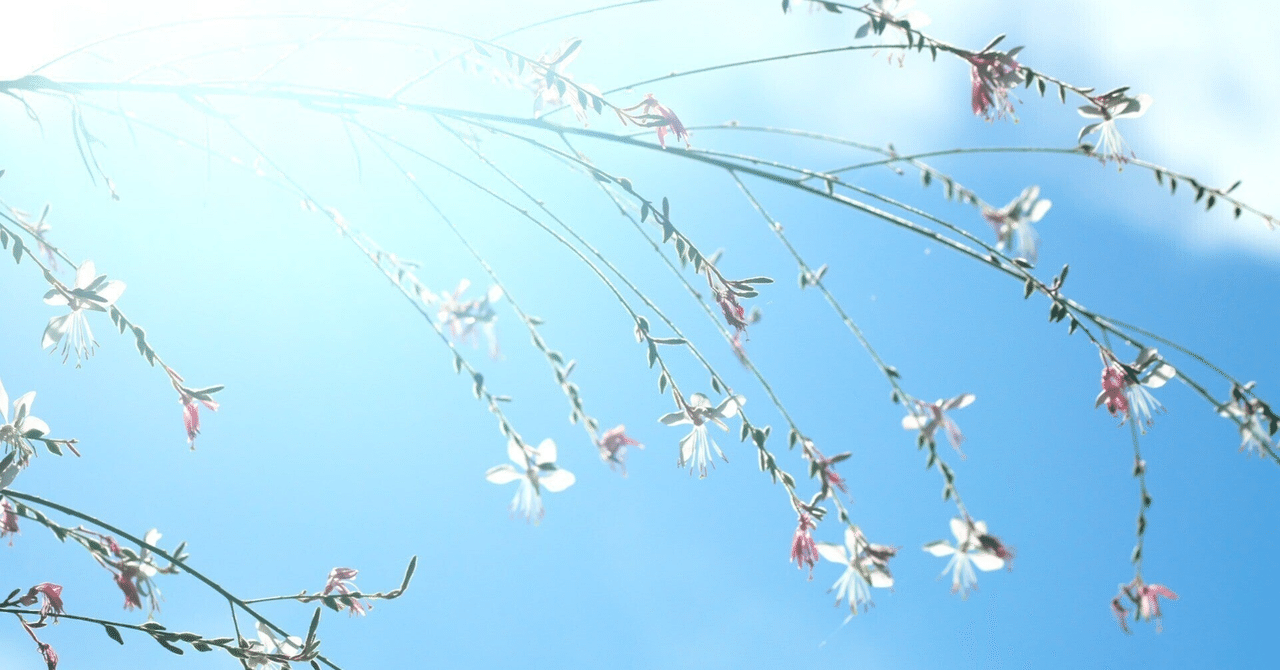 違和感センサーのこと｜J M Chieko