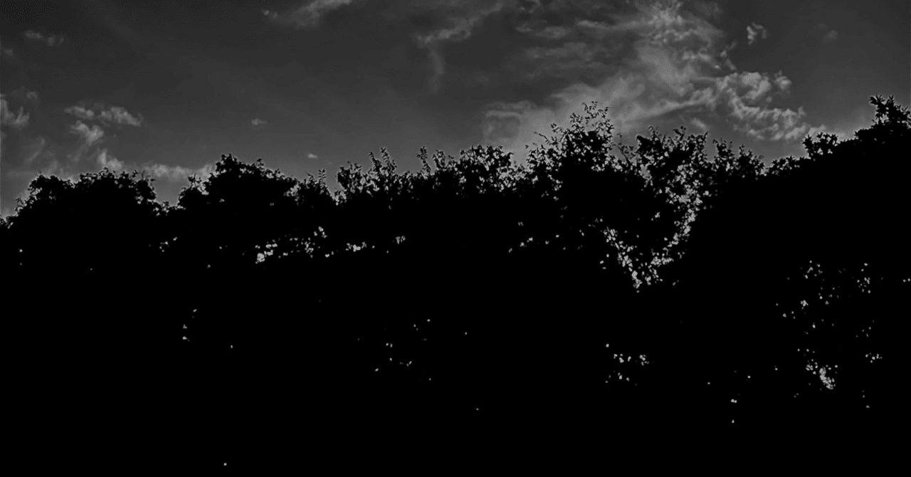 Day 61 静寂｜kona｜note