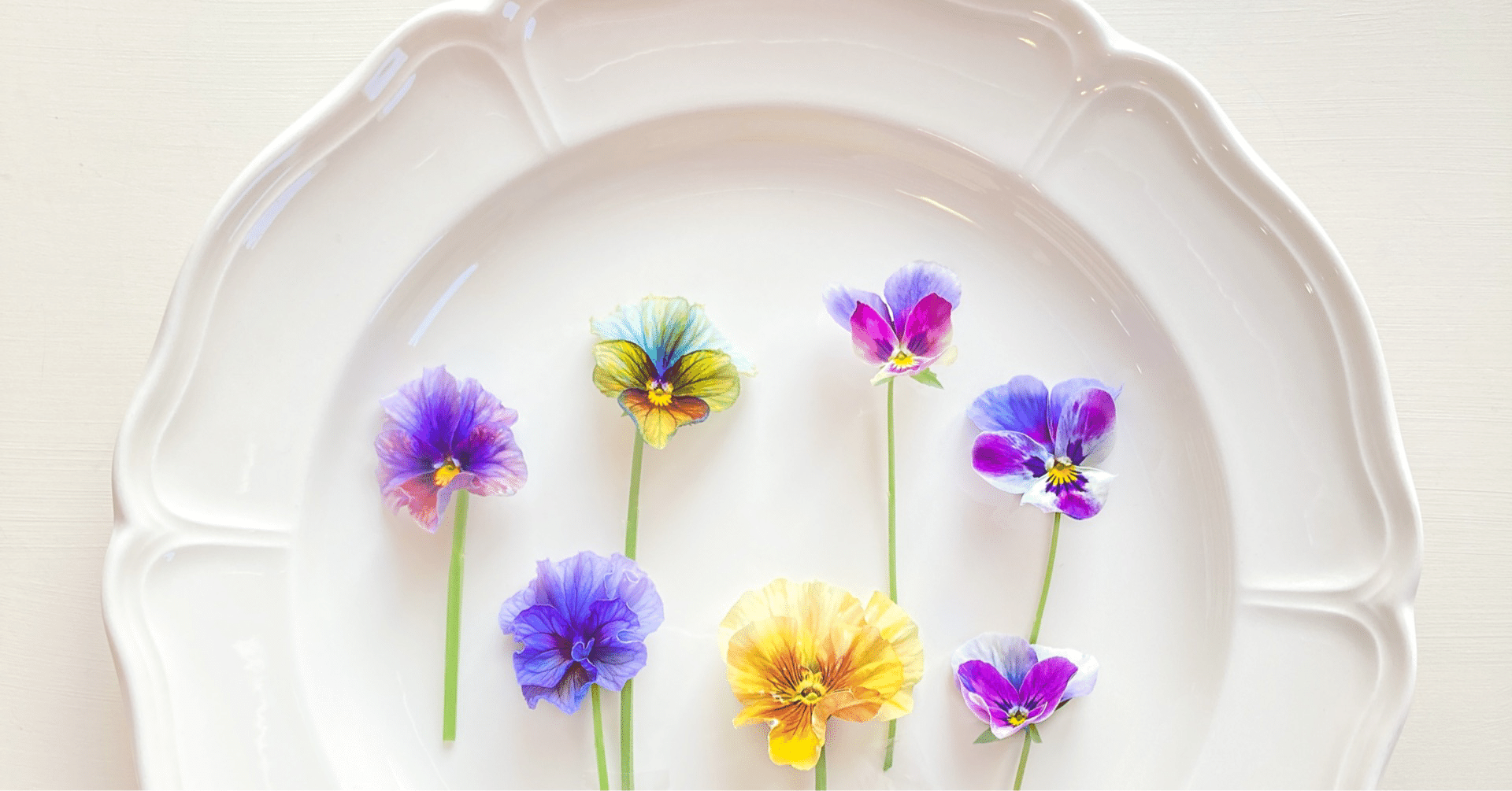 shirokuma KOBE｜note