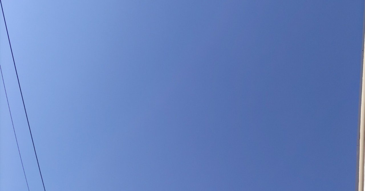 2022年末｜MF☀｜note