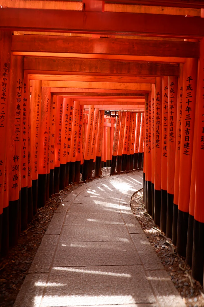 初めての1人旅 in 京都 後編｜moti｜note