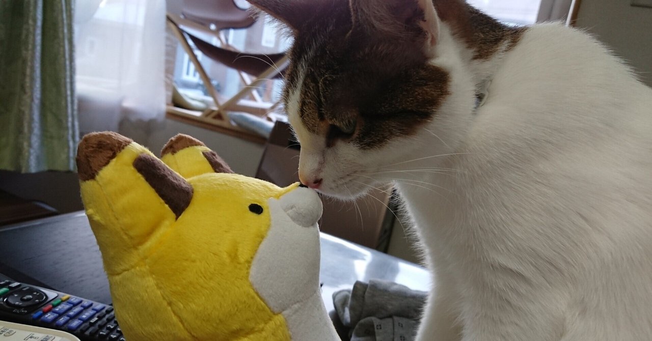 奇跡講座WB実践180 復習169、170｜(Linp&Ruru)本当の自分を知り、本当の自分として生きる