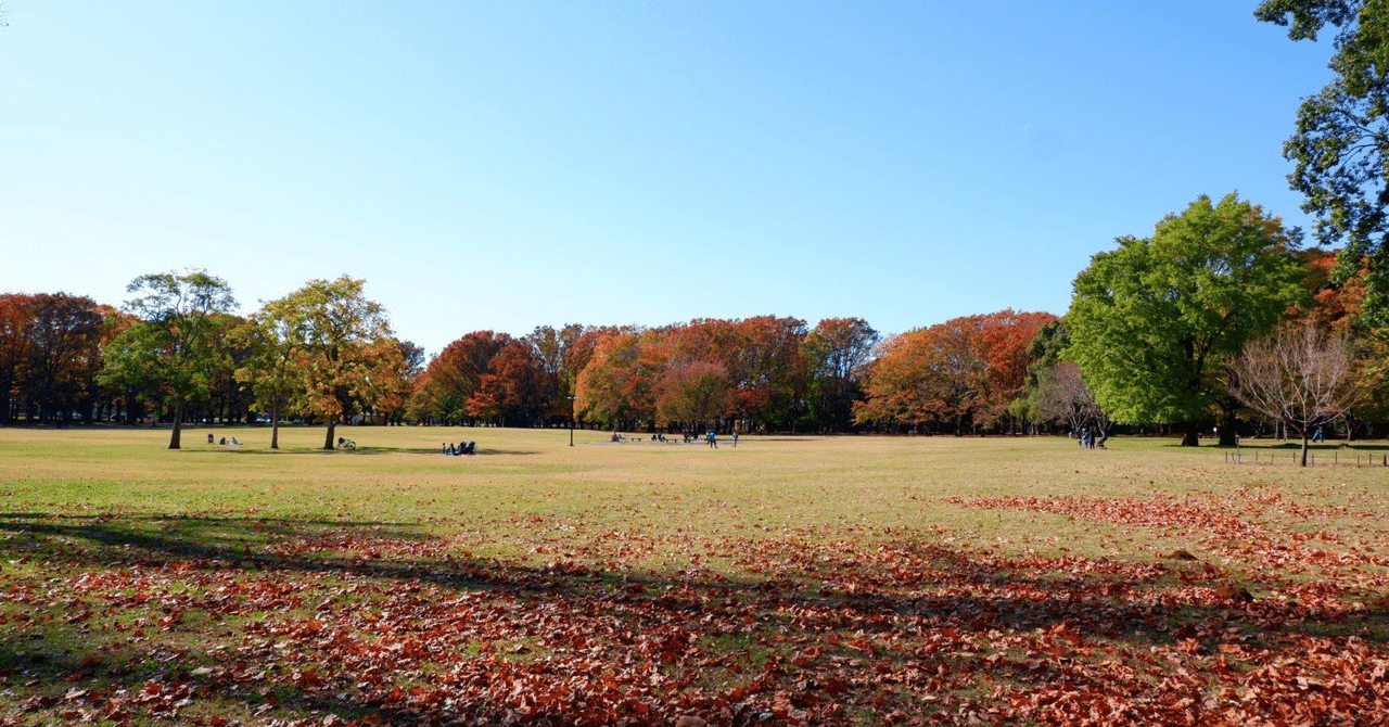 住之江8R 15：22 ｜競艇マニア｜note