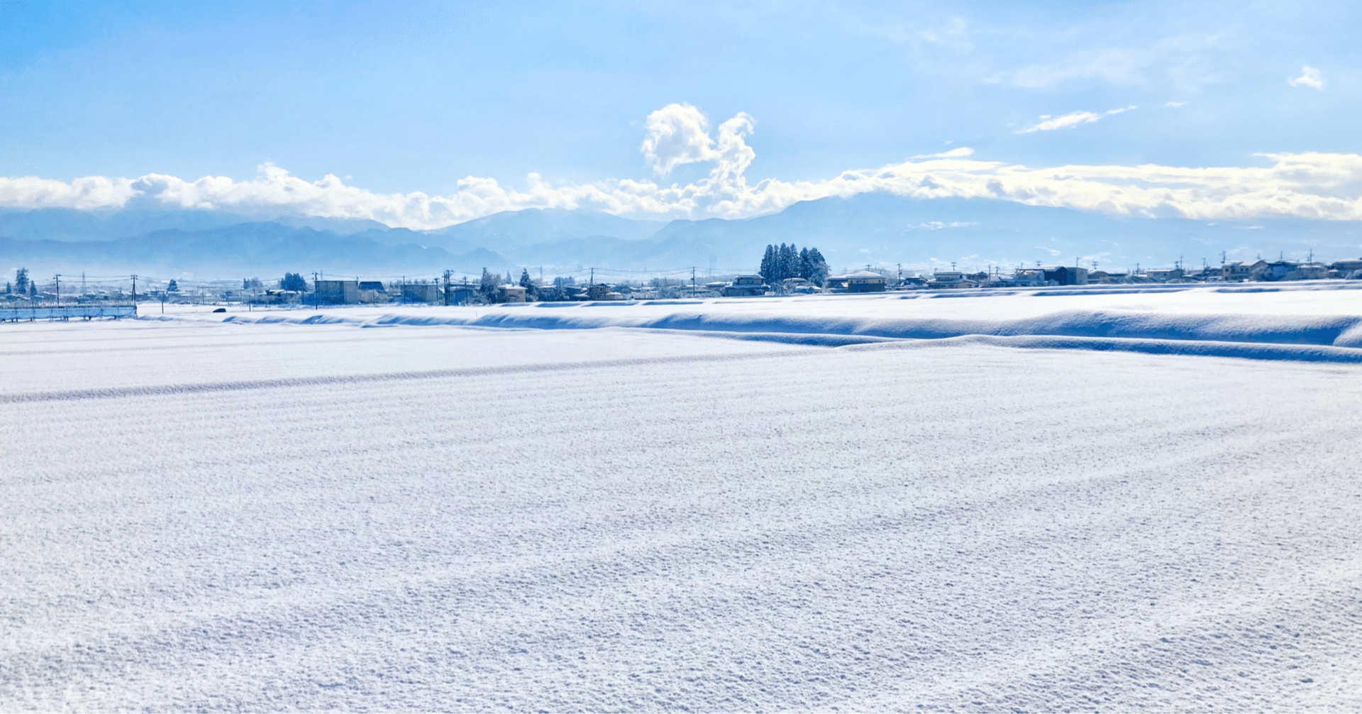 お天道農園 Yohei Abiko｜note