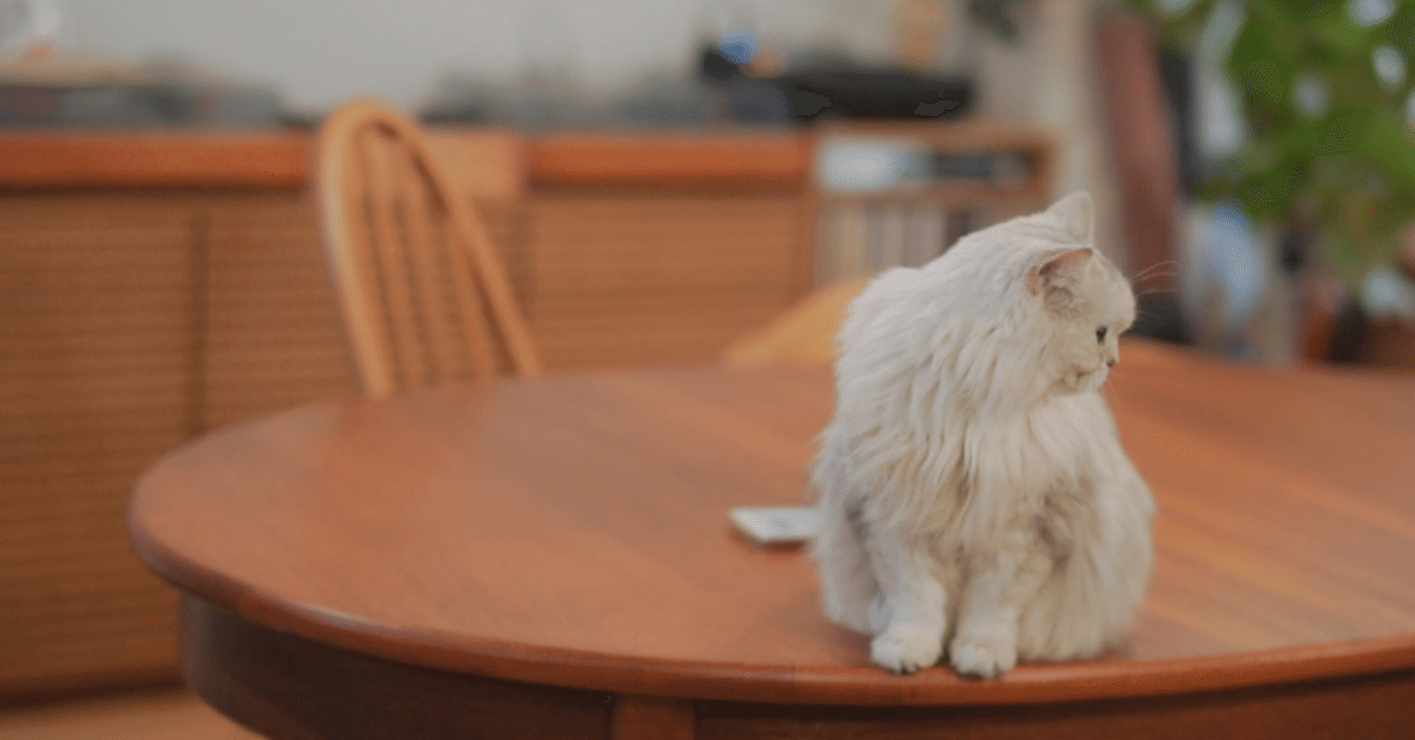 2022年買ってよかったもの｜anco.lab