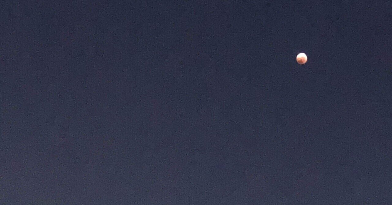 2022年買ってよかったもの10選｜tsuchimi｜note