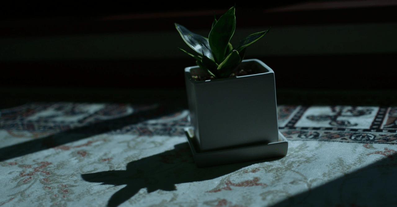 真夜中のつぶやき｜Chie coco