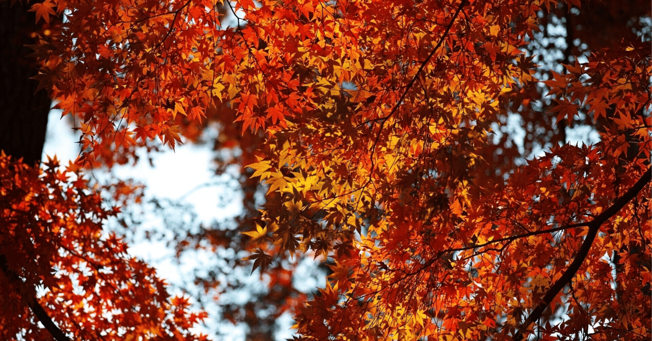 291 Wikipedia「ケインジアンアプローチ」が面白すぎる件。しかも削除されようとしているので保存ログ用を残しておきます。｜えづれさんの ...