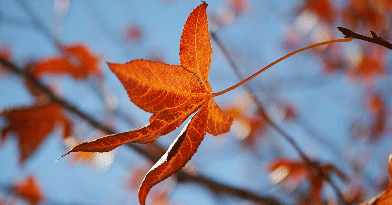 mariadb ubuntu install 2022-12-31｜blue06_2022