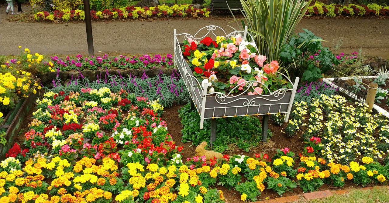 #2022年をふり返る｜wild_yuzu｜note