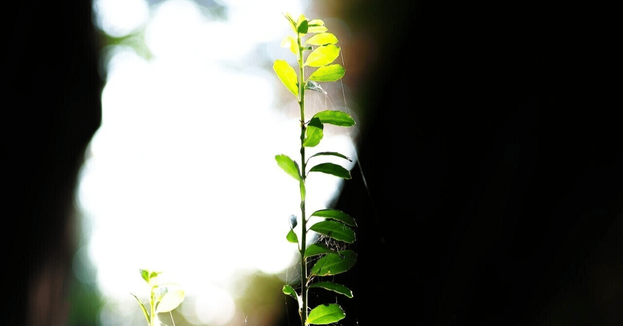 12月31日 #940｜unico｜note