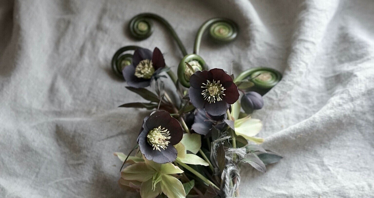 季節花人 | Shoko Kondo｜note