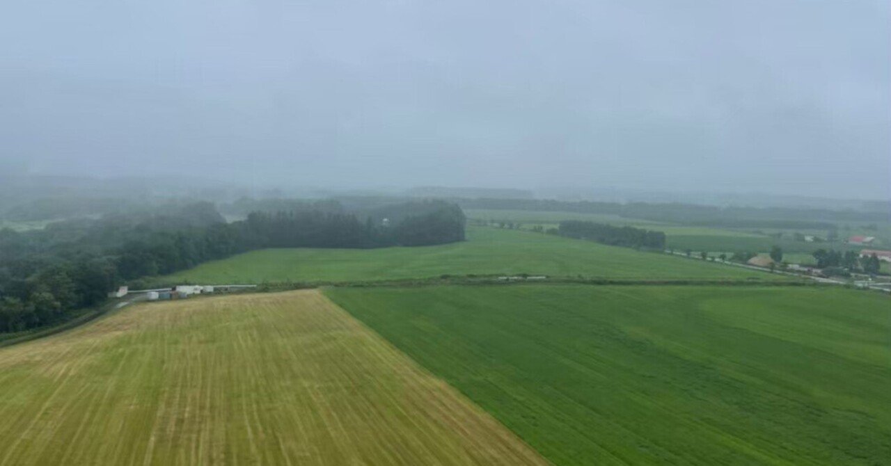 2022年を振り返って（7月〜8月）｜Naoki