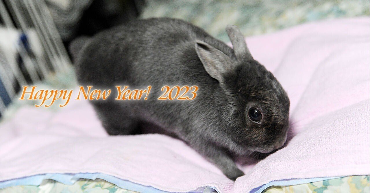 MATLAB でマルチチャネル対応 VST 開発 ～ Ducking VST ～ ナレーションに合わせて BGM 音量を自動調節｜leftbank